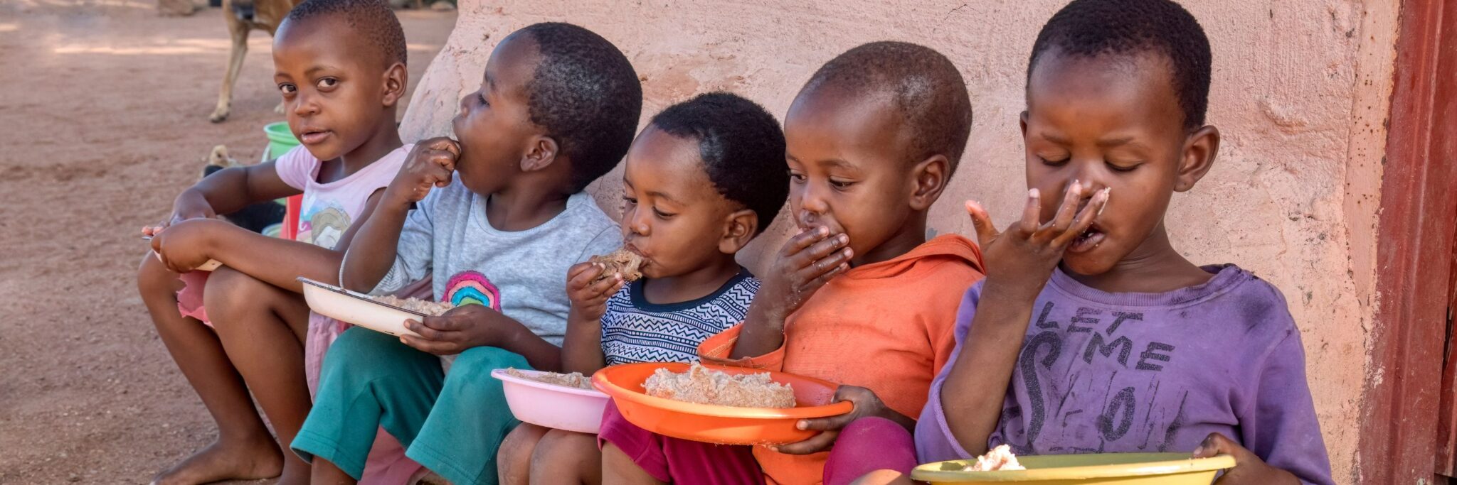 Agricultura Equilibrada: Alimentando o mundo, sustentando o planeta