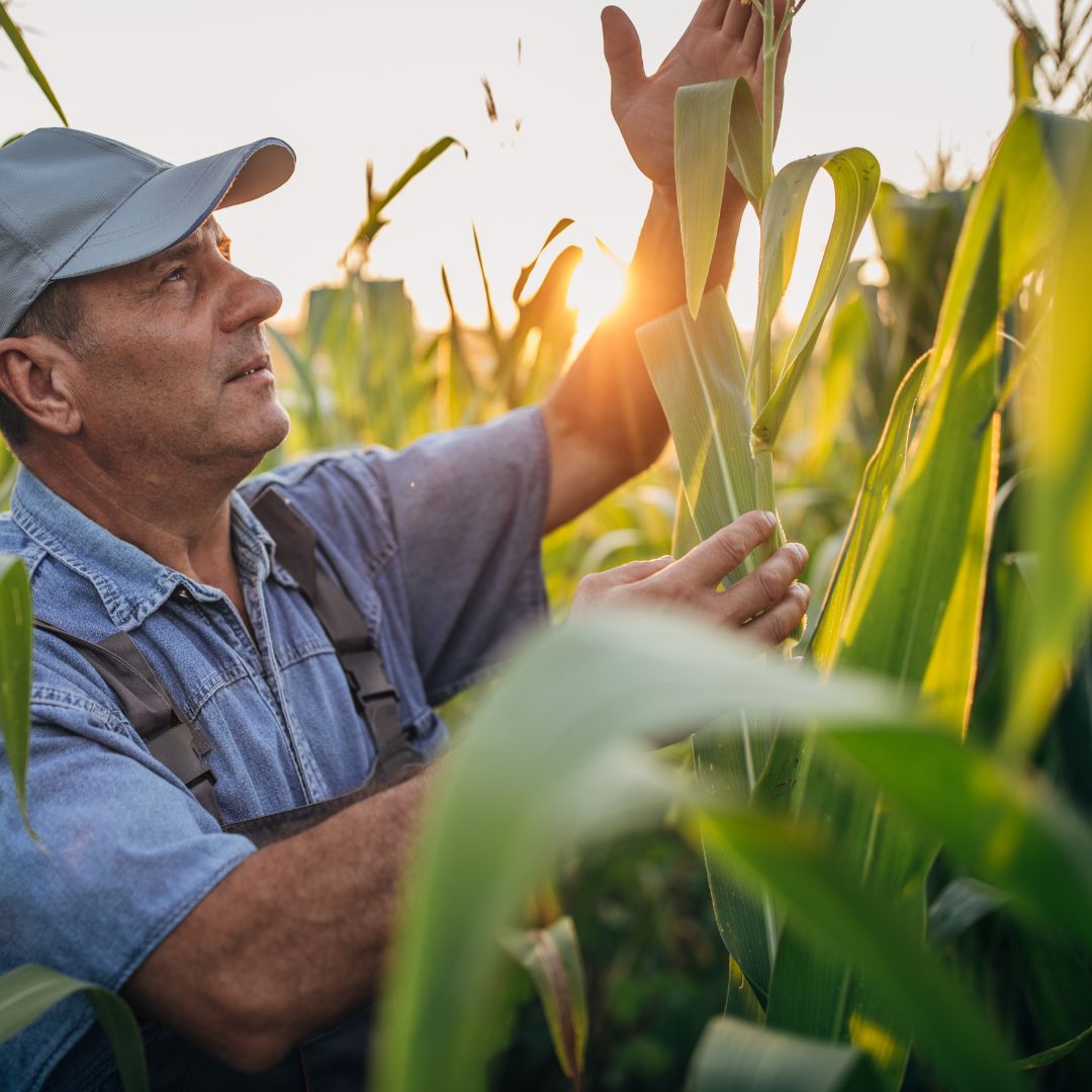 Balanced Farming: Feeding the world, sustaining the planet