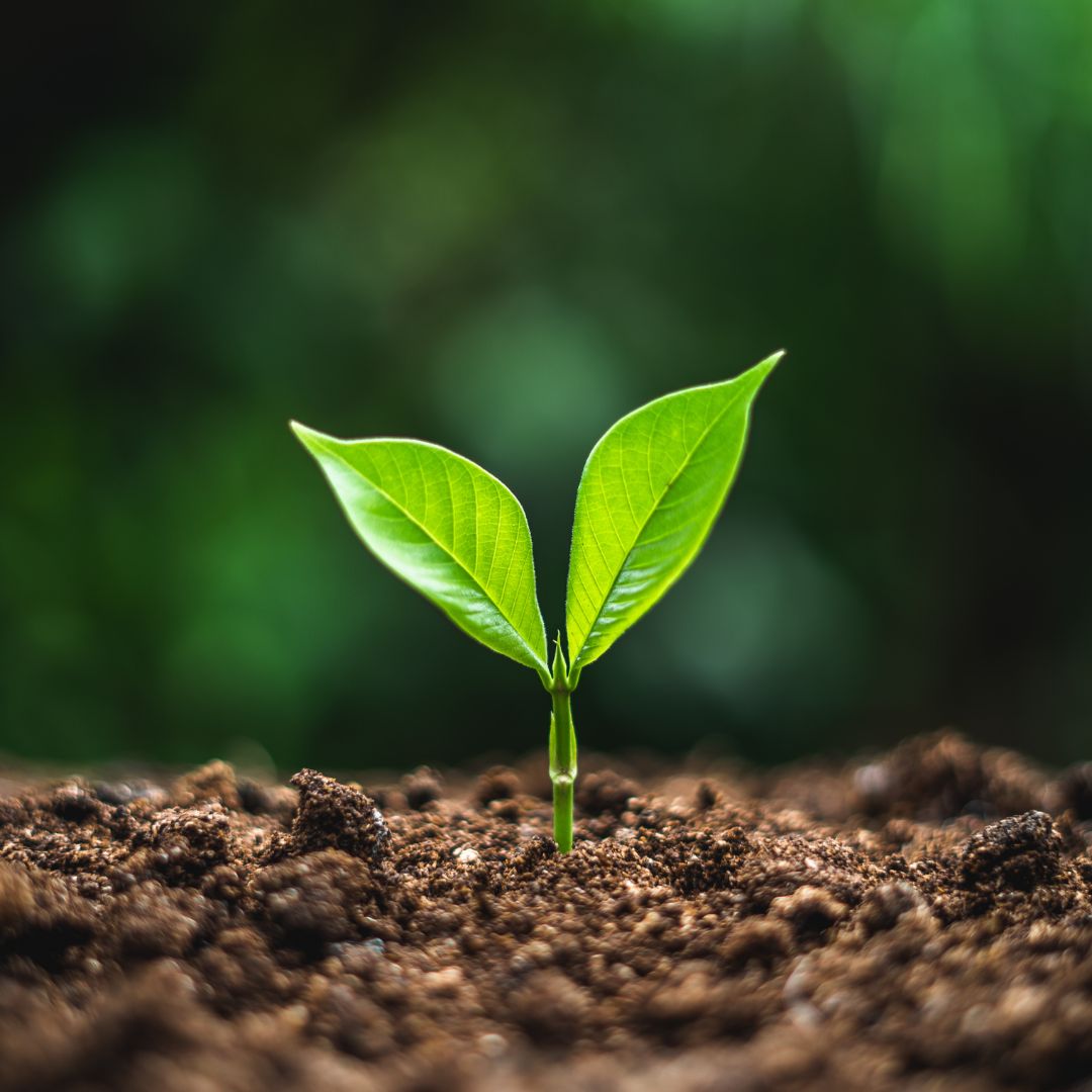 Balanced Farming: Feeding the world, sustaining the planet