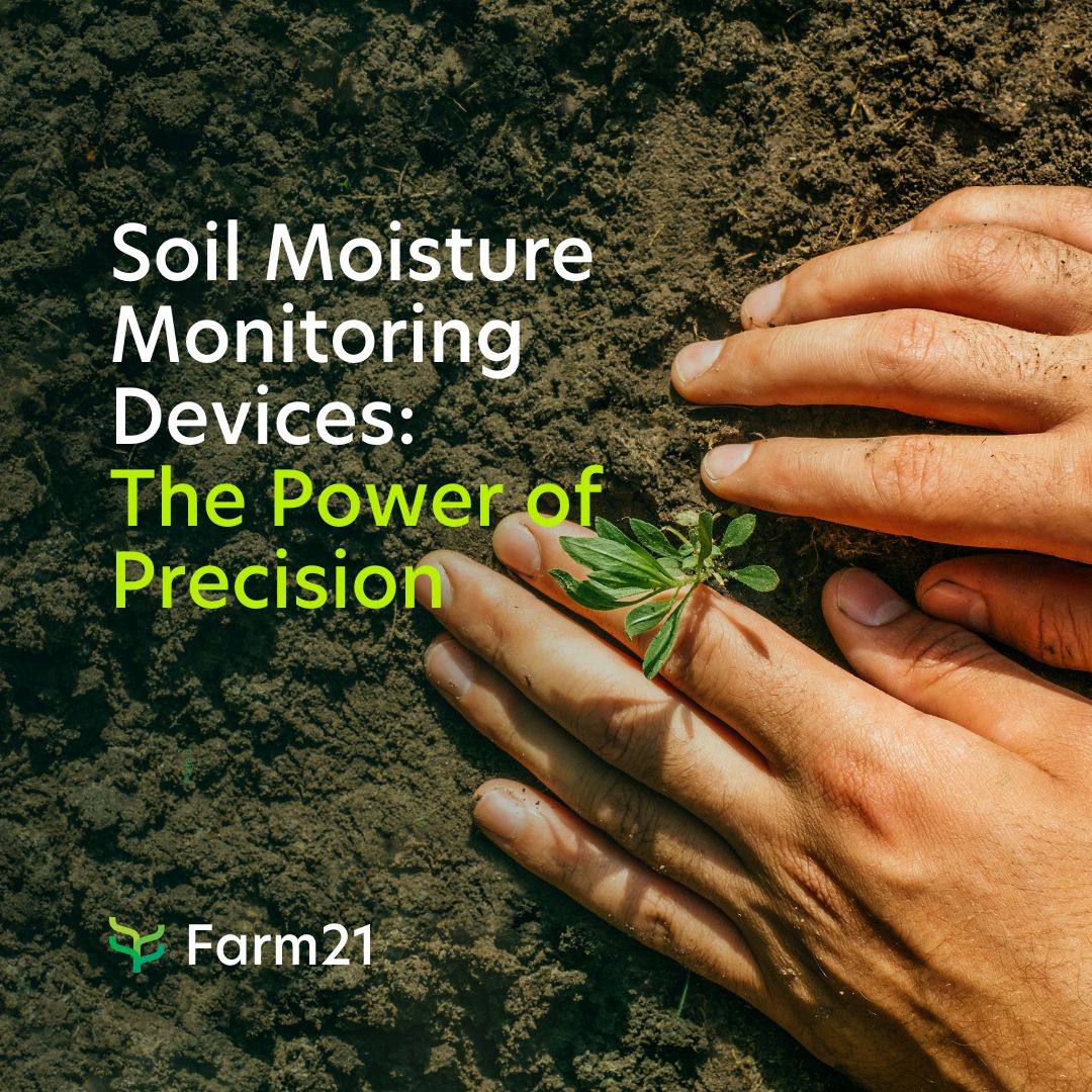 Soil Moisture Monitoring Devices: Discover The Power of Precision