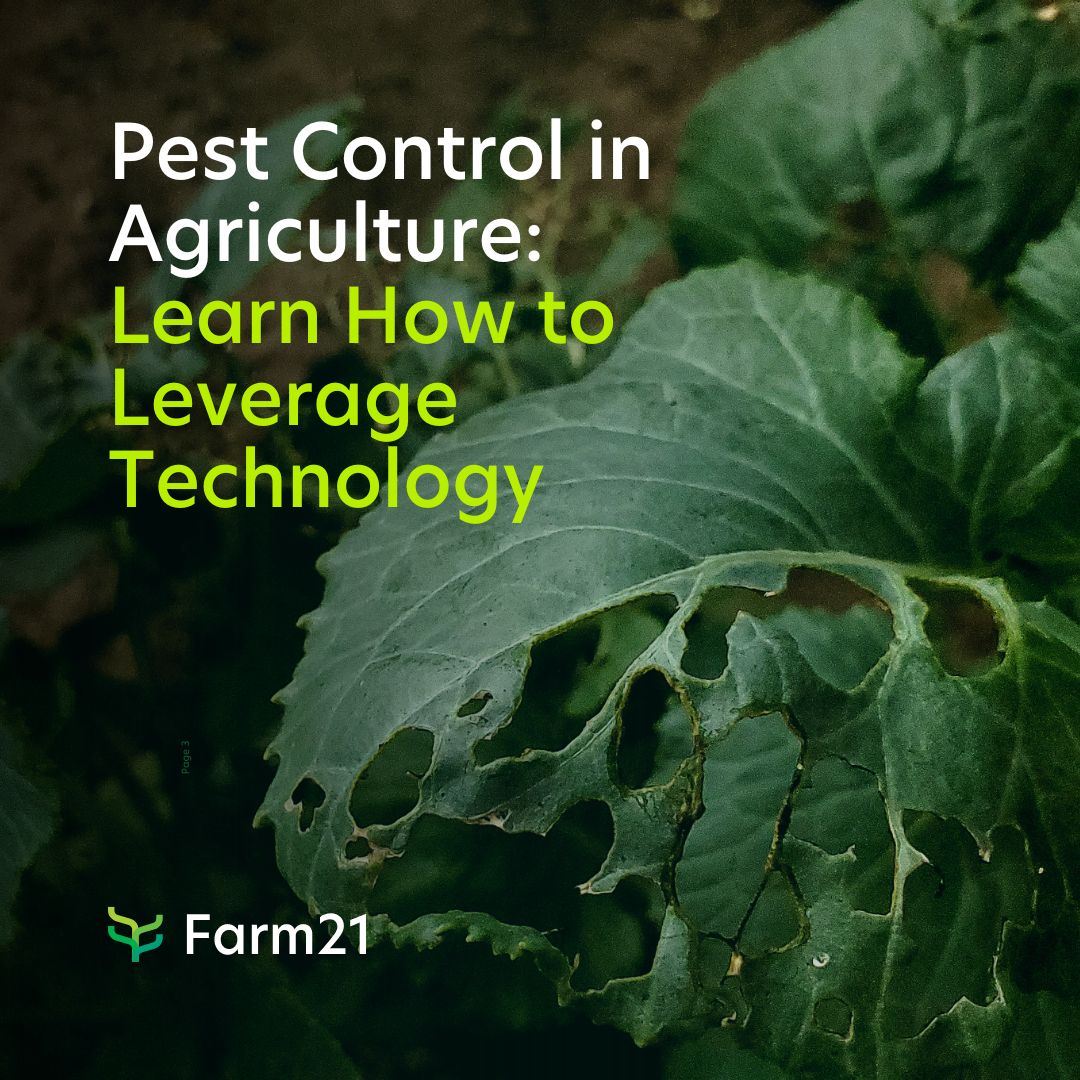 Pest Control In Agriculture How To Leverage Technology Effectively