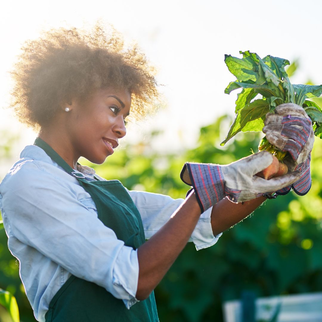 Better Farming Insights: Setting Yourself Up for Success